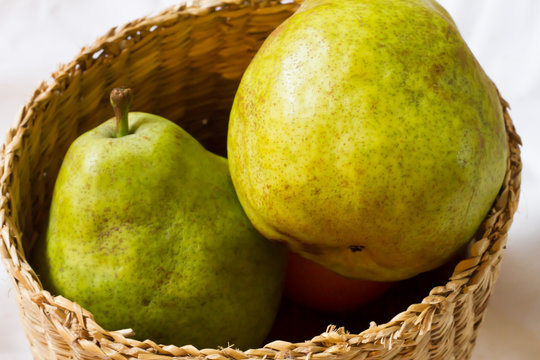 รูปภาพSute – เลือกดูภาพถ่ายสต็อก เวกเตอร์ และวิดีโอ2,278 | Adobe Stock