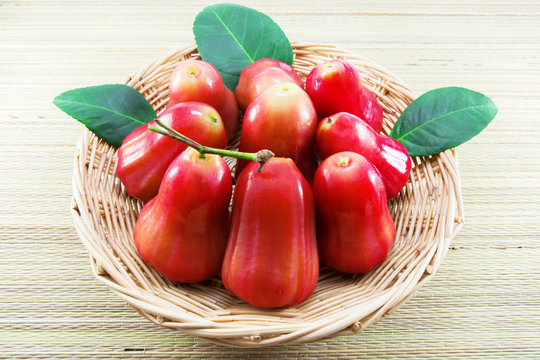 รูปภาพJambu – เลือกดูภาพถ่ายสต็อก เวกเตอร์ และวิดีโอ2,564 | Adobe Stock