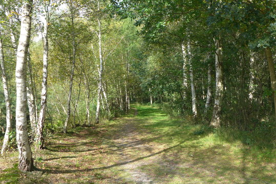 Sandweg Bilder – Durchsuchen 1,099 Archivfotos, Vektorgrafiken und ...