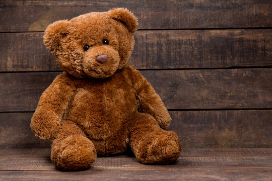 Imágenes de Ositos: descubre bancos de fotos, ilustraciones, vectores y ...