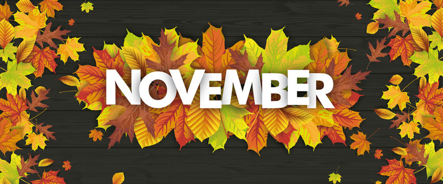 November Images – Browse 10,794 Stock Photos, Vectors, and Video ...