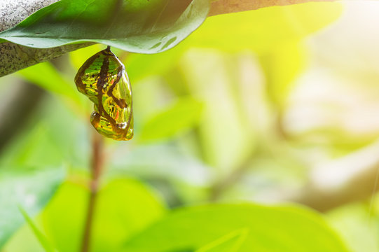 รูปภาพNefte – เลือกดูภาพถ่ายสต็อก เวกเตอร์ และวิดีโอ100 | Adobe Stock