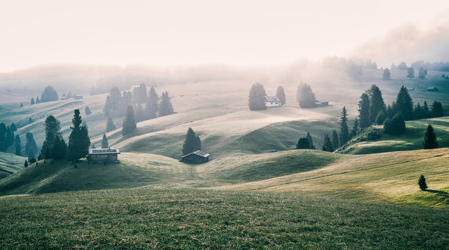 「Seisser」の写真素材 | 121件の無料イラスト画像 | Adobe Stock