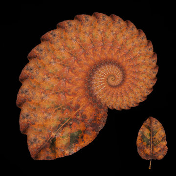 รูปภาพCalculus – เลือกดูภาพถ่ายสต็อก เวกเตอร์ และวิดีโอ205,511 | Adobe ...