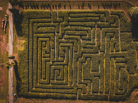 Corn Maze Design Arch