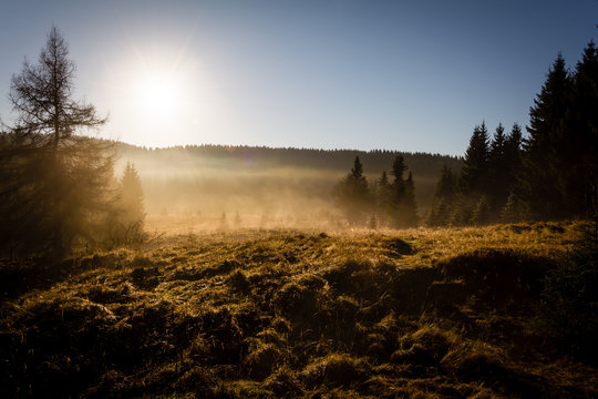 รูปภาพFlaje – เลือกดูภาพถ่ายสต็อก เวกเตอร์ และวิดีโอ74 | Adobe Stock