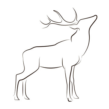 Simple Deer Drawing
