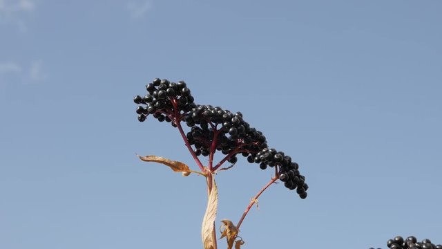 Avdika Bilder – Durchsuchen 6 Archivfotos, Vektorgrafiken und Videos ...