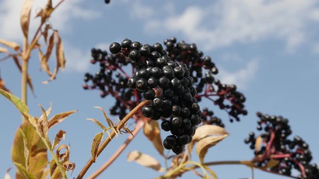 Avdika Bilder – Durchsuchen 6 Archivfotos, Vektorgrafiken und Videos ...