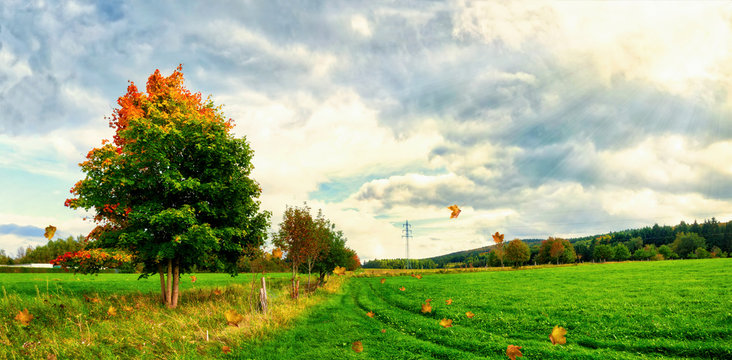 「Fraben」の写真素材 | 86件の無料イラスト画像 | Adobe Stock