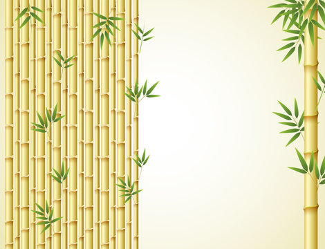 Bamboo Design Powerpoint
