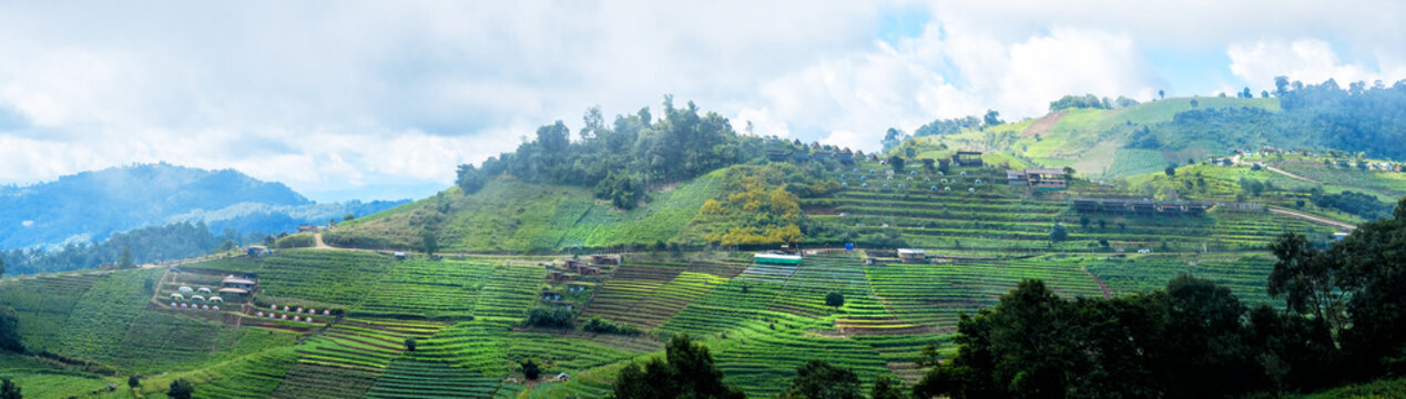 Terraces Images – Browse 1,890,202 Stock Photos, Vectors, and Video ...