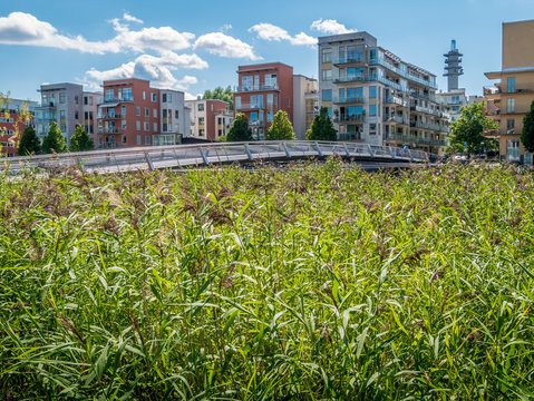 รูปภาพHammarby – เลือกดูภาพถ่ายสต็อก เวกเตอร์ และวิดีโอ484 | Adobe Stock