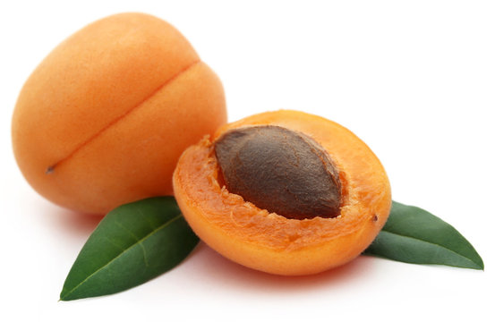 Marille Bilder – Durchsuchen 19,049 Archivfotos, Vektorgrafiken und ...