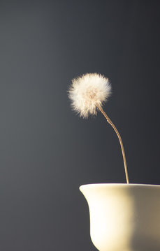 Ofay Images – Browse 55 Stock Photos, Vectors, and Video | Adobe Stock