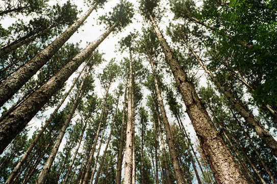 รูปภาพSenic – เลือกดูภาพถ่ายสต็อก เวกเตอร์ และวิดีโอ1,114 | Adobe Stock