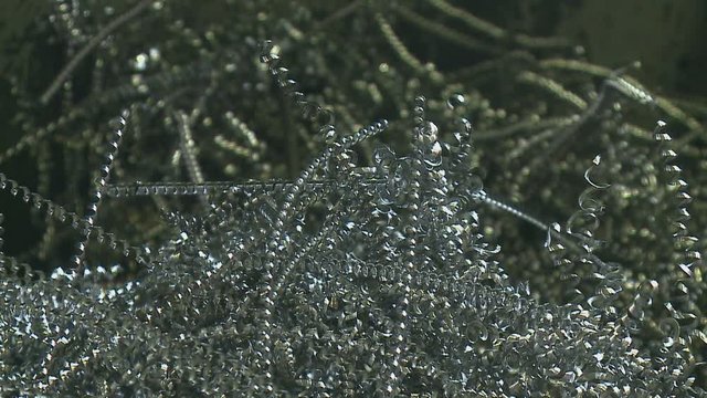 รูปภาพSwarf – เลือกดูภาพถ่ายสต็อก เวกเตอร์ และวิดีโอ12,371 | Adobe Stock