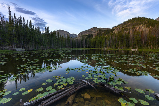 "Nymph Lake" Bilder – Durchsuchen 226 Archivfotos, Vektorgrafiken und ...