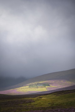 Yha Images – Browse 66 Stock Photos, Vectors, and Video | Adobe Stock