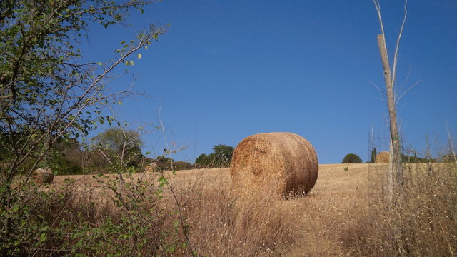 Scheunendrescher-Bilder: Stock-Fotos & -Videos. | Adobe Stock