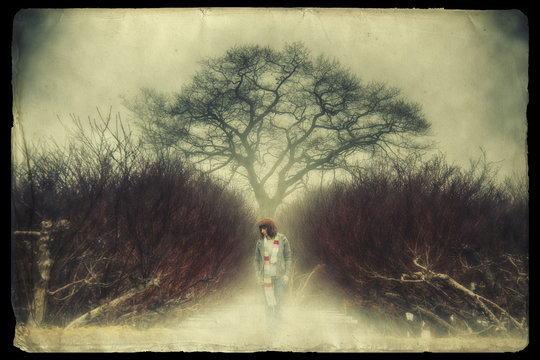 Imágenes de Self-Portrait: descubre bancos de fotos, ilustraciones ...