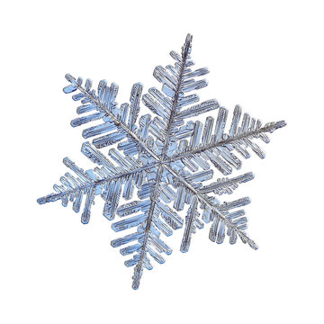 Single Snowflake Images – Browse 22,465 Stock Photos, Vectors, and ...