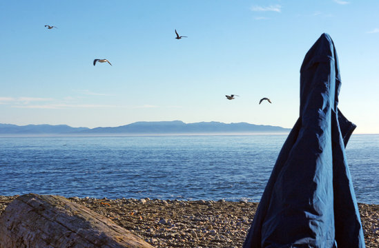 Weatherproof Images – Parcourir 4,859 le catalogue de photos, vecteurs ...