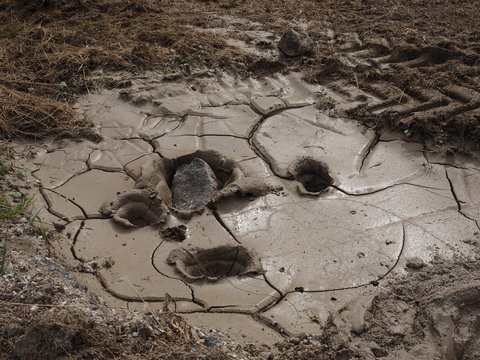 รูปภาพSchlammloch – เลือกดูภาพถ่ายสต็อก เวกเตอร์ และวิดีโอ344 | Adobe Stock