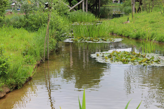 Uffer Images – Browse 39 Stock Photos, Vectors, and Video | Adobe Stock