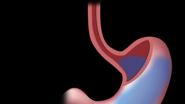 Stomach Acid Color