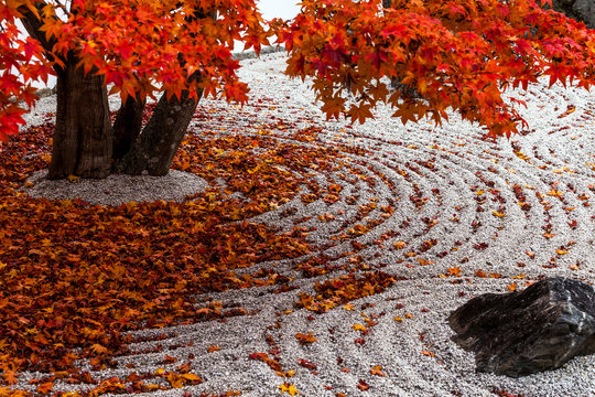 光明 Images – Browse 441 Stock Photos, Vectors, and Video | Adobe Stock