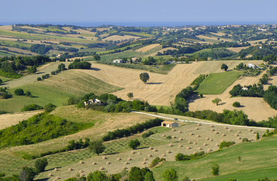 「Barchi」の写真素材 | 25件の無料イラスト画像 | Adobe Stock