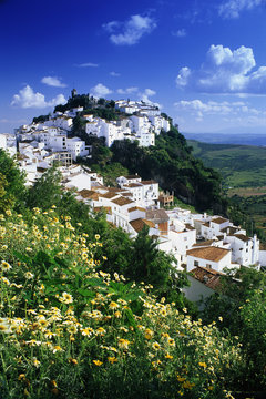 Casera Bilder – Durchsuchen 4,328 Archivfotos, Vektorgrafiken und ...