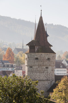 Haustrum Bilder – Durchsuchen 194 Archivfotos, Vektorgrafiken und ...