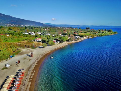 Agria Bilder – Durchsuchen 231 Archivfotos, Vektorgrafiken und Videos ...