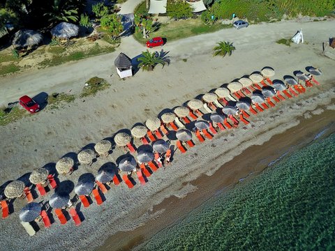 Agria Bilder – Durchsuchen 231 Archivfotos, Vektorgrafiken und Videos ...