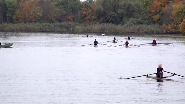 Strickle Images – Browse 31 Stock Photos, Vectors, and Video | Adobe Stock