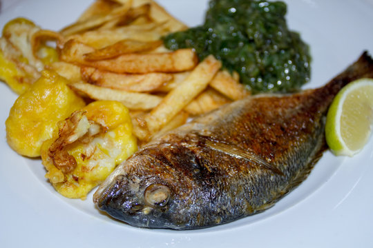 "Dorade Box"-Bilder: Stock-Fotos & -Videos. | Adobe Stock