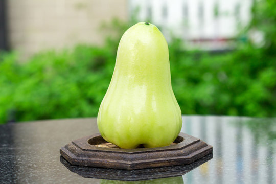 รูปภาพChompu – เลือกดูภาพถ่ายสต็อก เวกเตอร์ และวิดีโอ237 | Adobe Stock