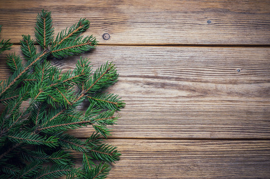 รูปภาพX-Tree – เลือกดูภาพถ่ายสต็อก เวกเตอร์ และวิดีโอ679 | Adobe Stock