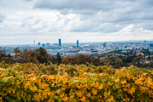 Wienerwald Bilder – Durchsuchen 4,572 Archivfotos, Vektorgrafiken und ...
