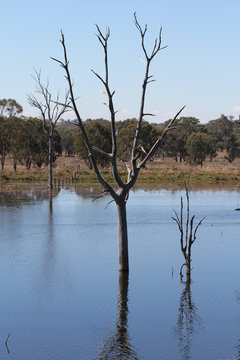 Barraba Images – Browse 8 Stock Photos, Vectors, and Video | Adobe Stock