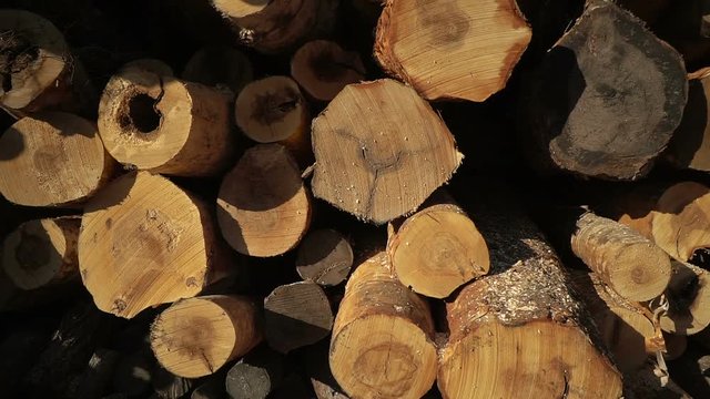 "Timber Blocking" - Images et vidéos libres de droits | Adobe Stock