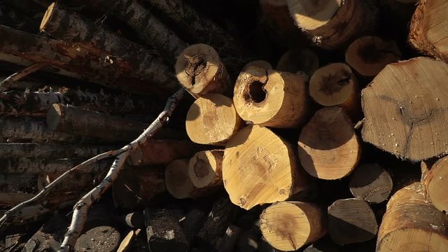 "Timber Blocking" - Images et vidéos libres de droits | Adobe Stock