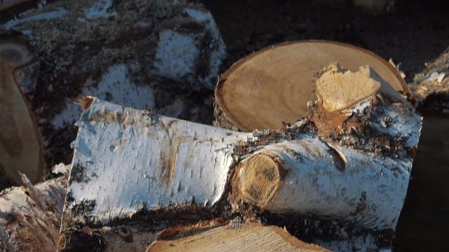 "Timber Blocking" - Images et vidéos libres de droits | Adobe Stock