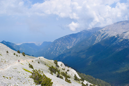 Prionia Bilder – Durchsuchen 171 Archivfotos, Vektorgrafiken und Videos ...
