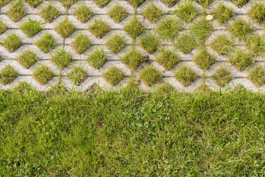 「Rasengittersteine」の写真素材 | 48件の無料イラスト画像 | Adobe Stock