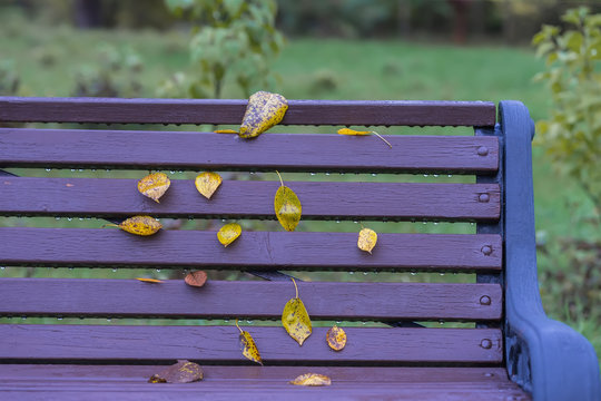 Five-Line Images – Browse 42 Stock Photos, Vectors, and Video | Adobe Stock