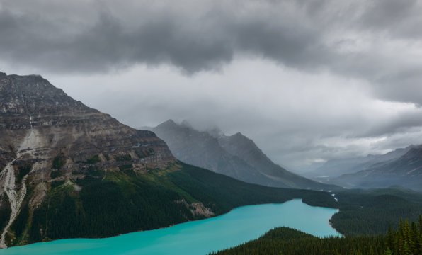thierry faula photos, images, assets | Adobe Stock