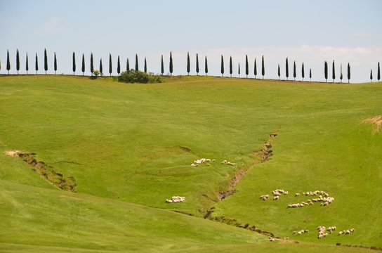 Bucolico Images – Browse 1,672 Stock Photos, Vectors, and Video | Adobe ...